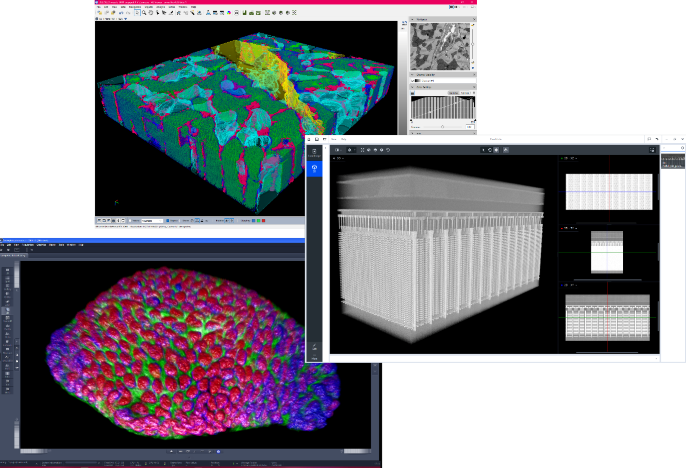 ZEISS Digital Innovation Blog - FOSS im Fokus: ZEISS ehrt herausragende Open Source Projekte