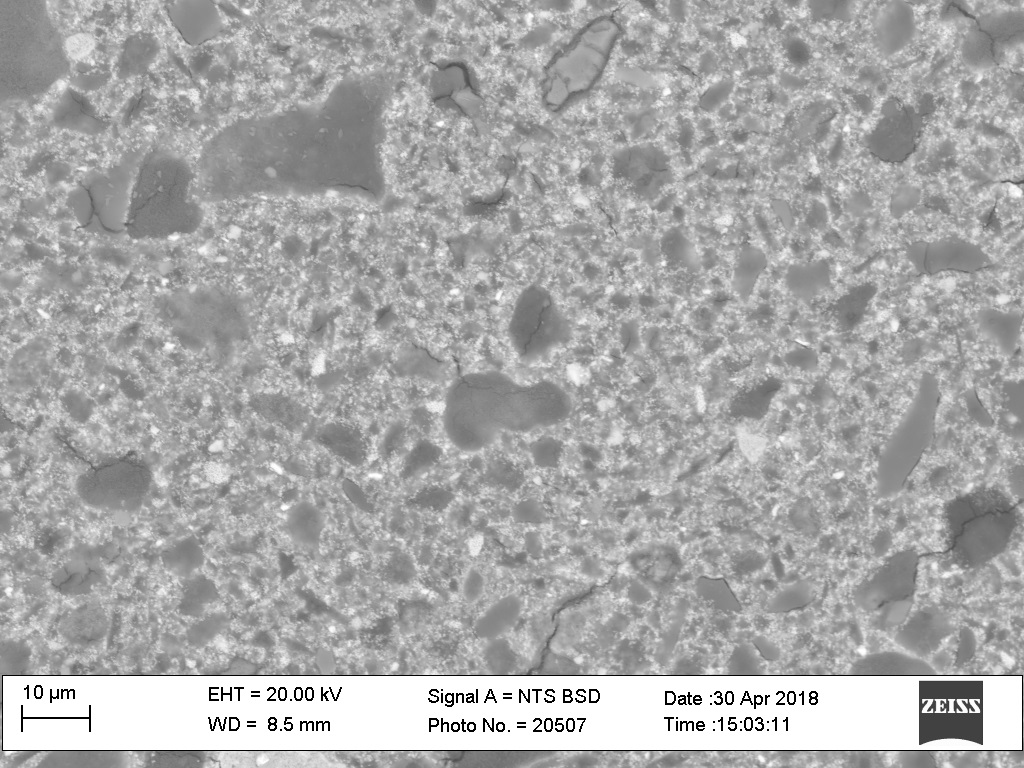 Investigating Cements for Endodontology - Microscopy