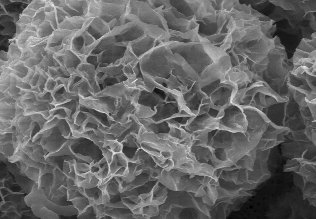 Nanoflowers as Next Generation Catalysts - Microscopy