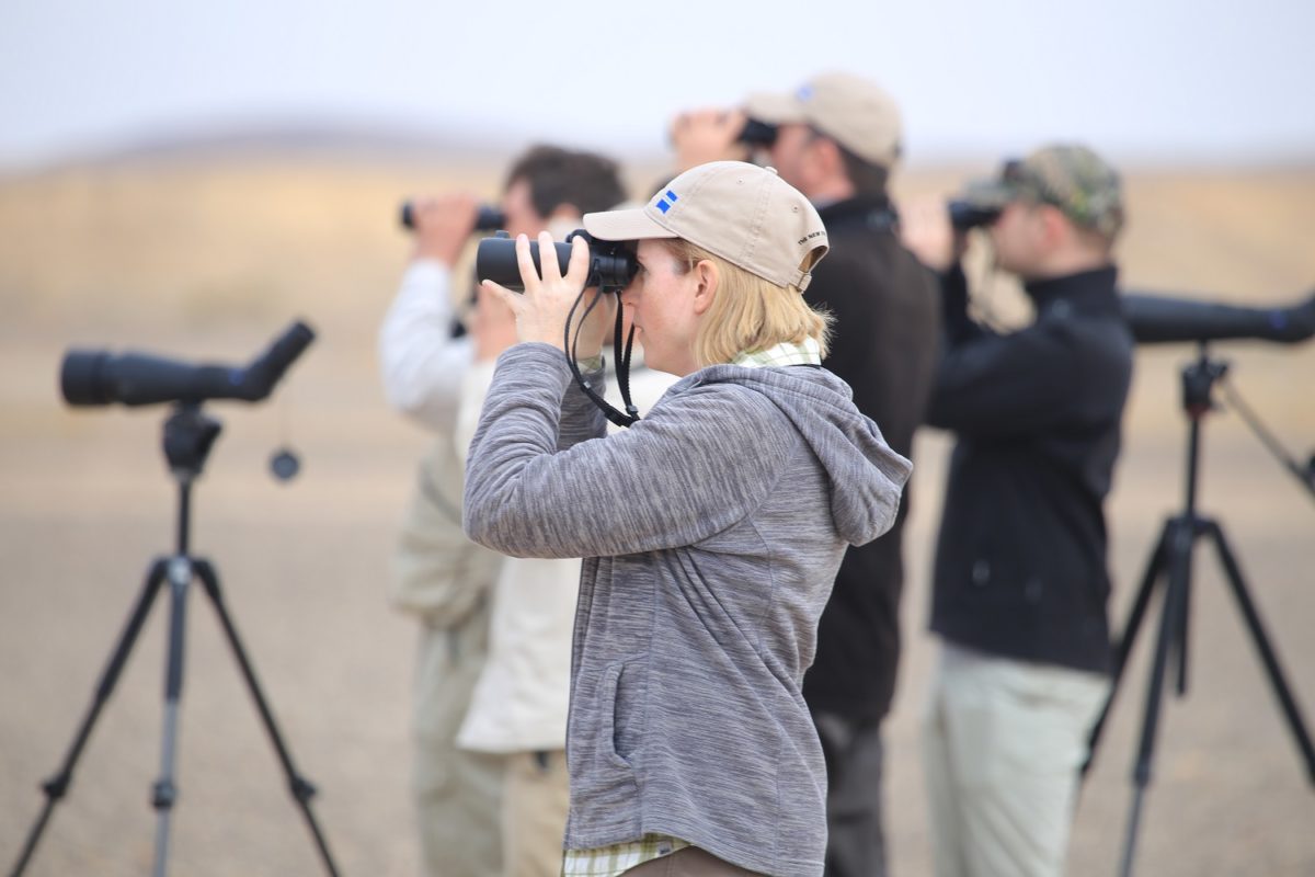 Part 5: Bird races: Celebrating the variety of bird species - Nature ...