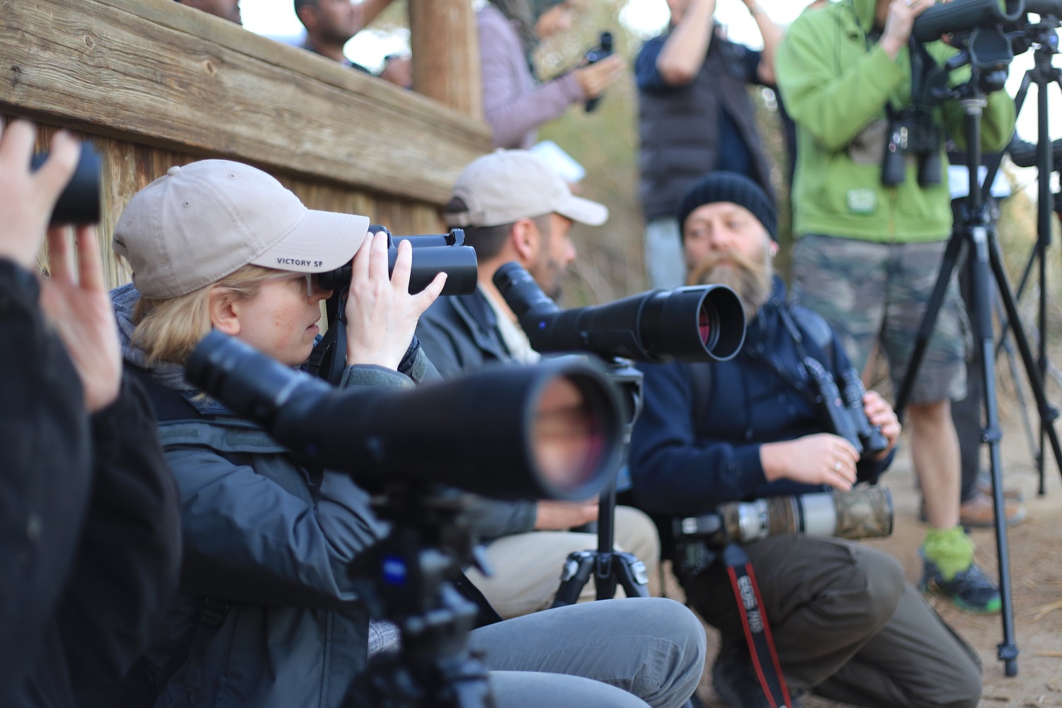 Part 5: Bird races: Celebrating the variety of bird species - Nature ...