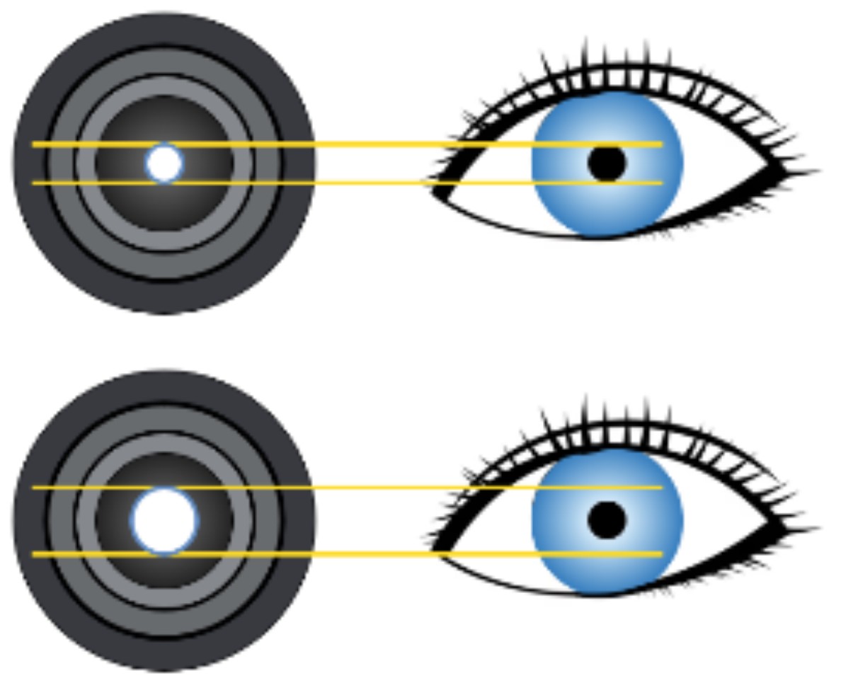 The viewing behavior of binoculars - Nature Observation
