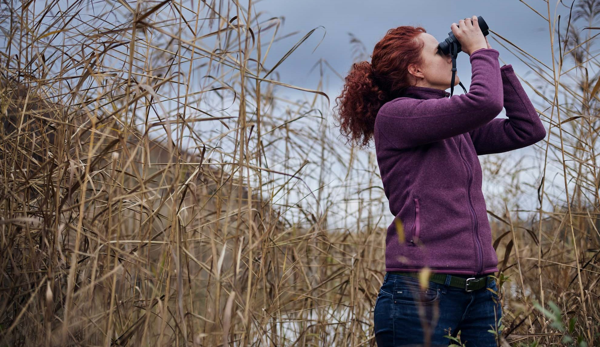 The viewing behavior of binoculars - Nature Observation