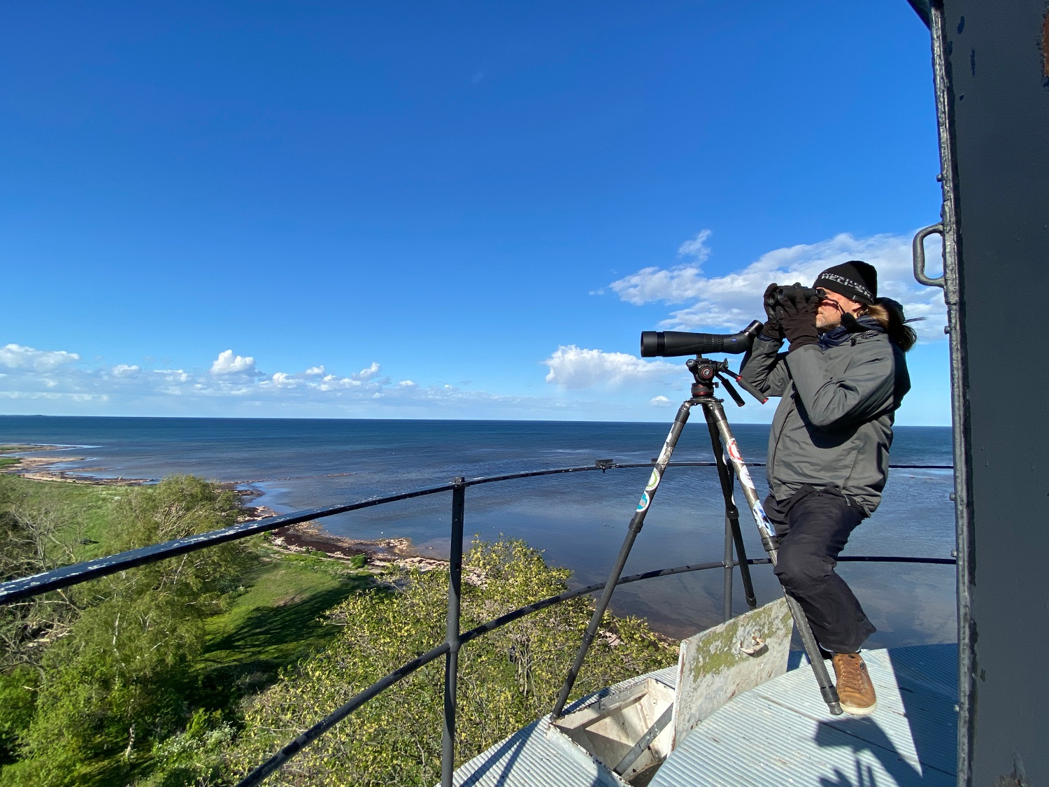 Ambassadors answer: Christian Cederroth - Nature Observation