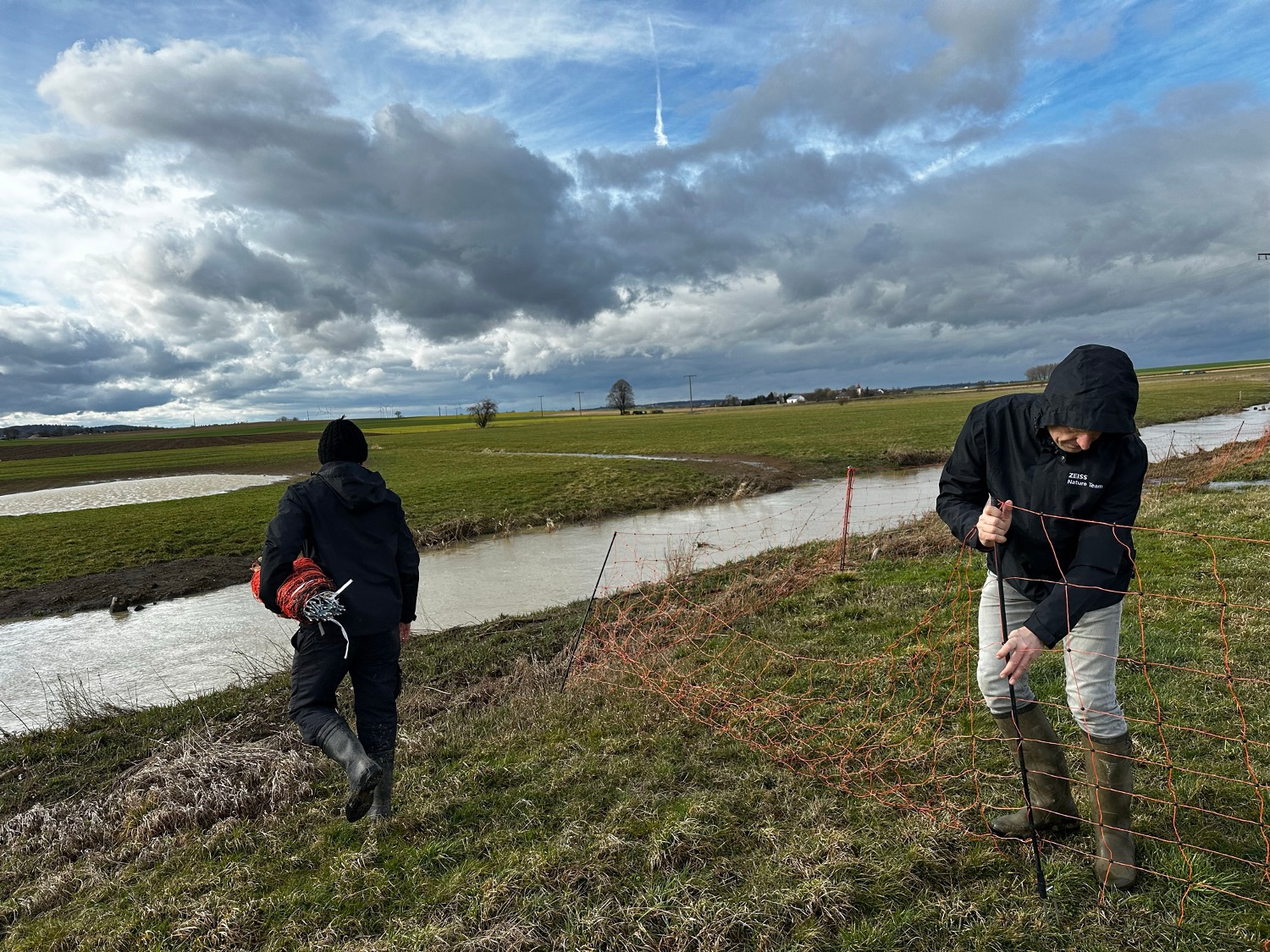 Lapwing protection in the Ostalbkreis region - Nature Observation
