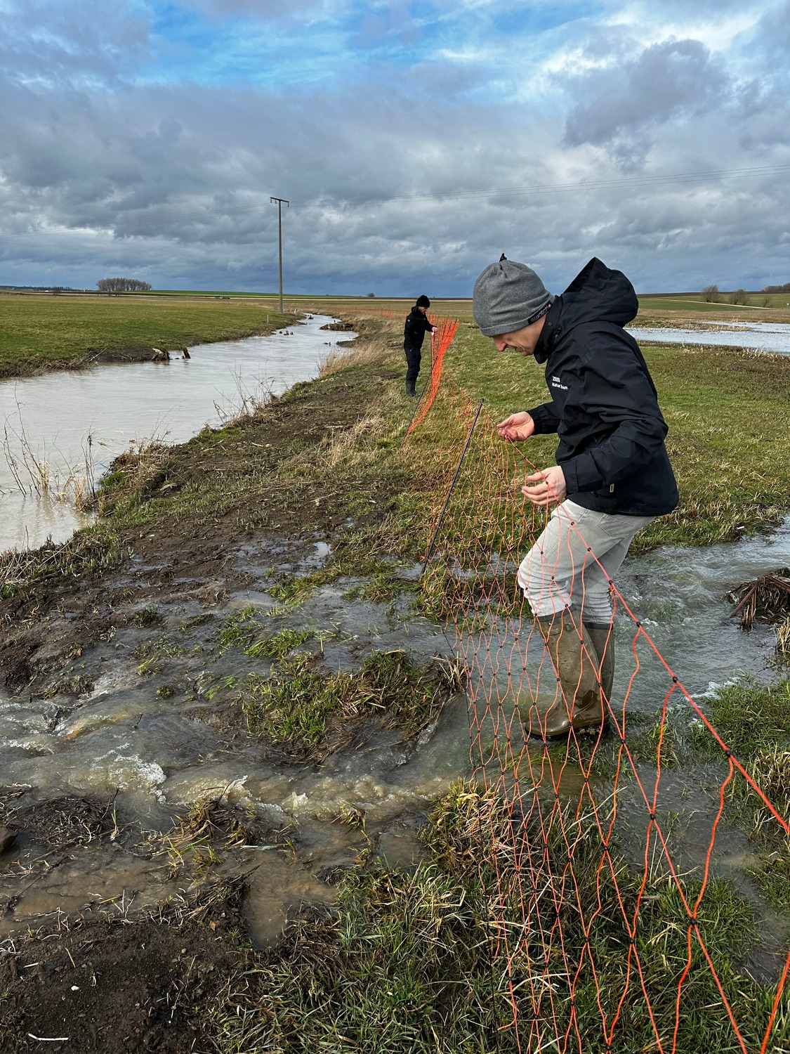 Lapwing protection in the Ostalbkreis region - Nature Observation