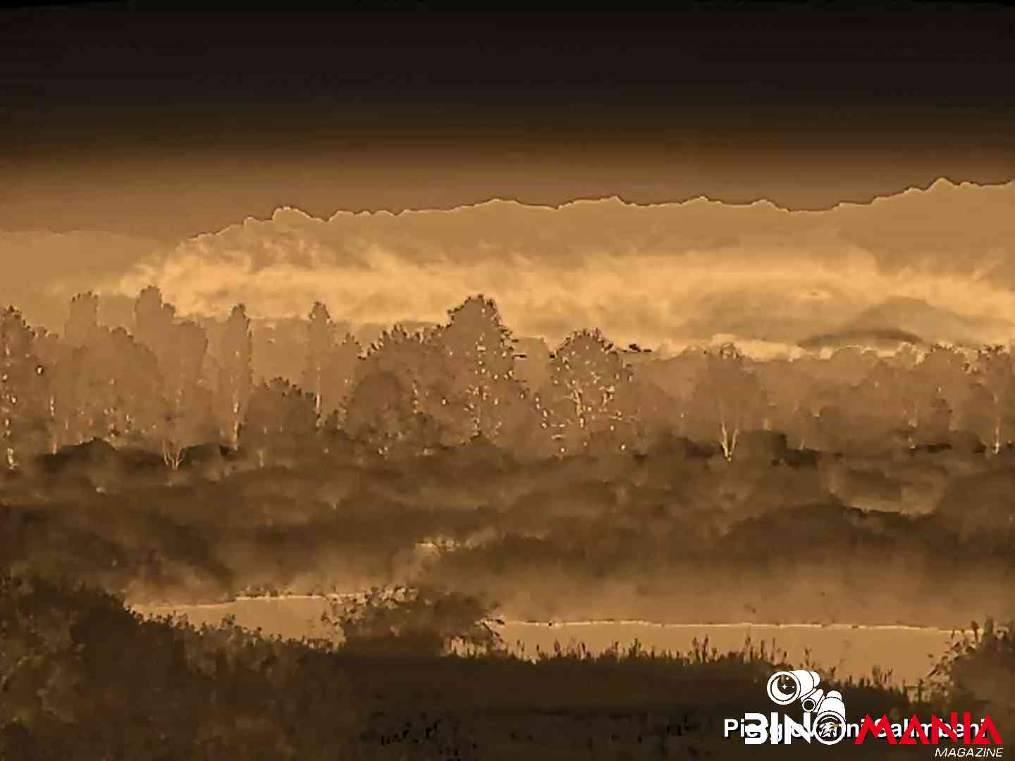 Night-time observation of roosting birds with the ZEISS DTI thermal viewer