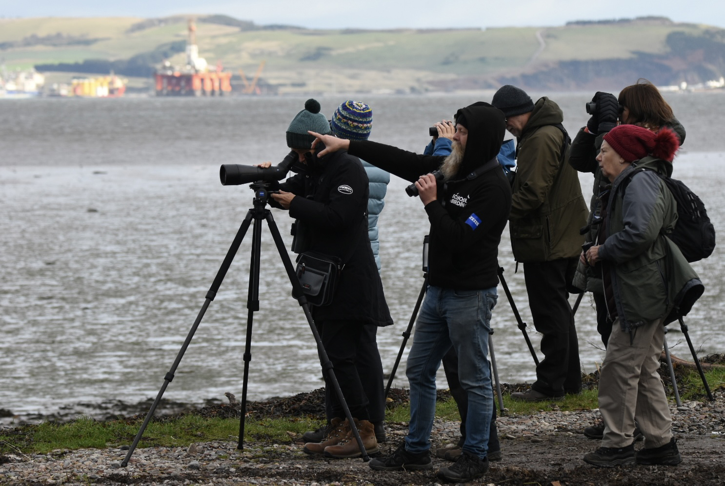 School of Birding – First class dismissed! - Nature Observation