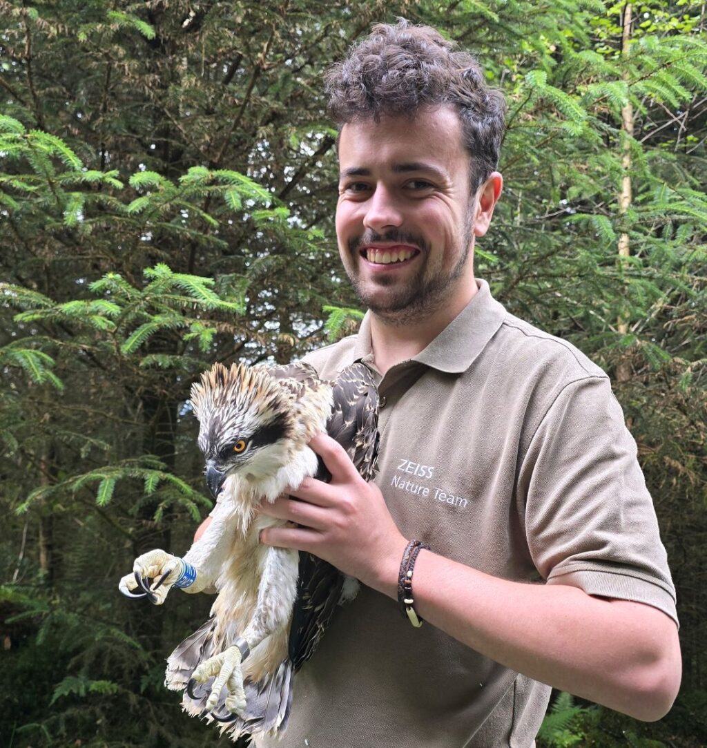 Exciting Developments for breeding Ospreys in Northern England: A Look ...