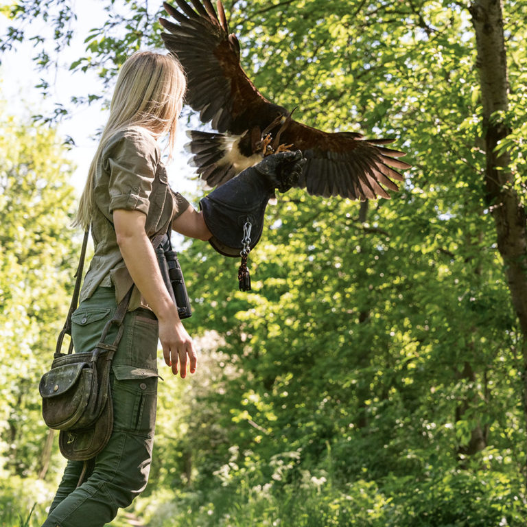 Sandra Jung Archives - Jagd