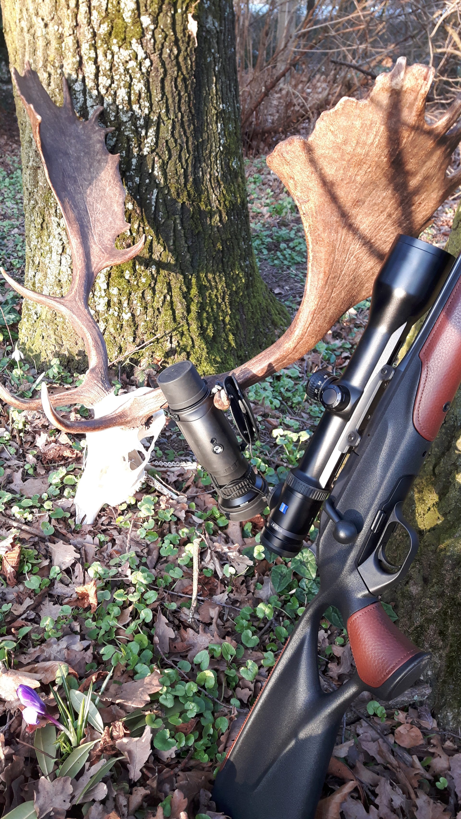 Wild Boar Hunting at Night - Hunting