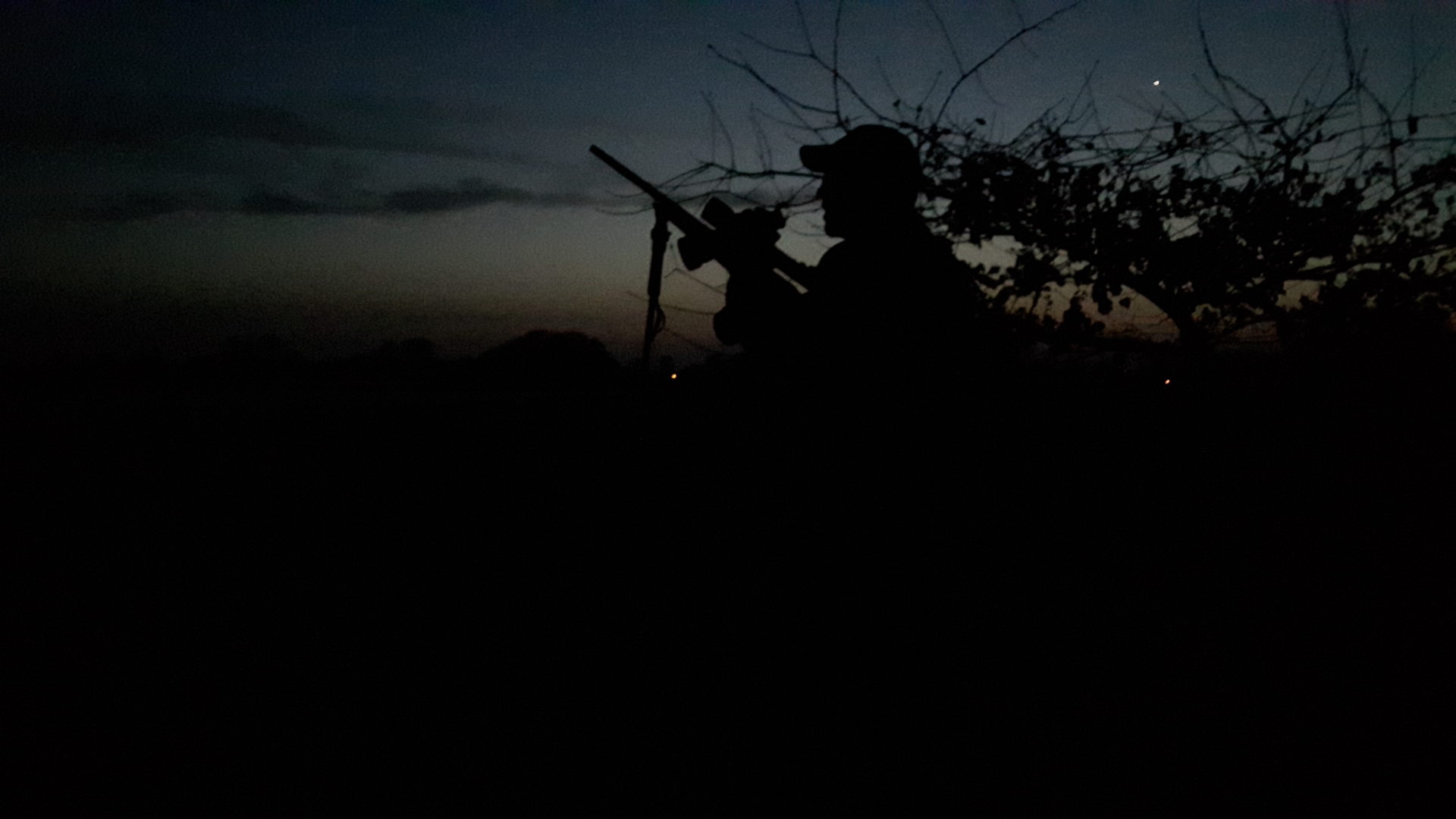 Wild Boar Hunting at Night - Hunting