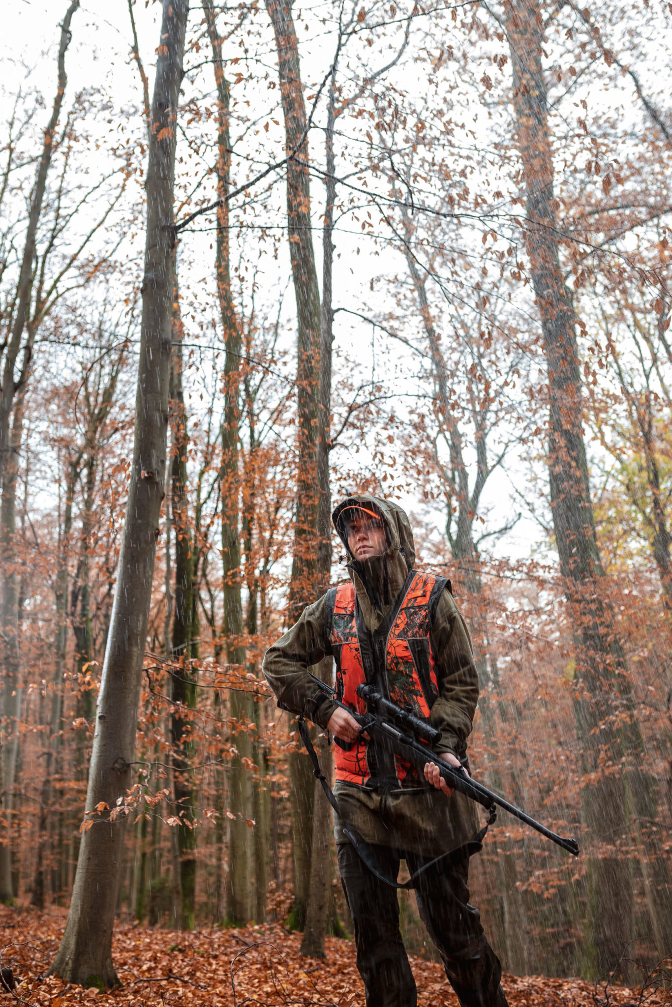 About driven hunts - ZEISS Hunting