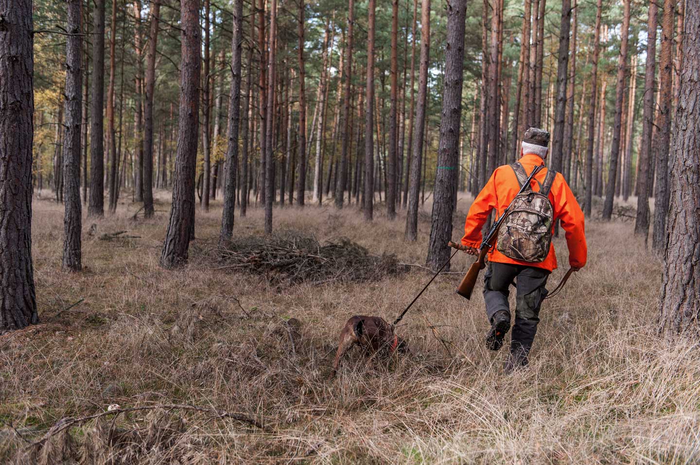 Boar Hunting like Kings - ZEISS Hunting