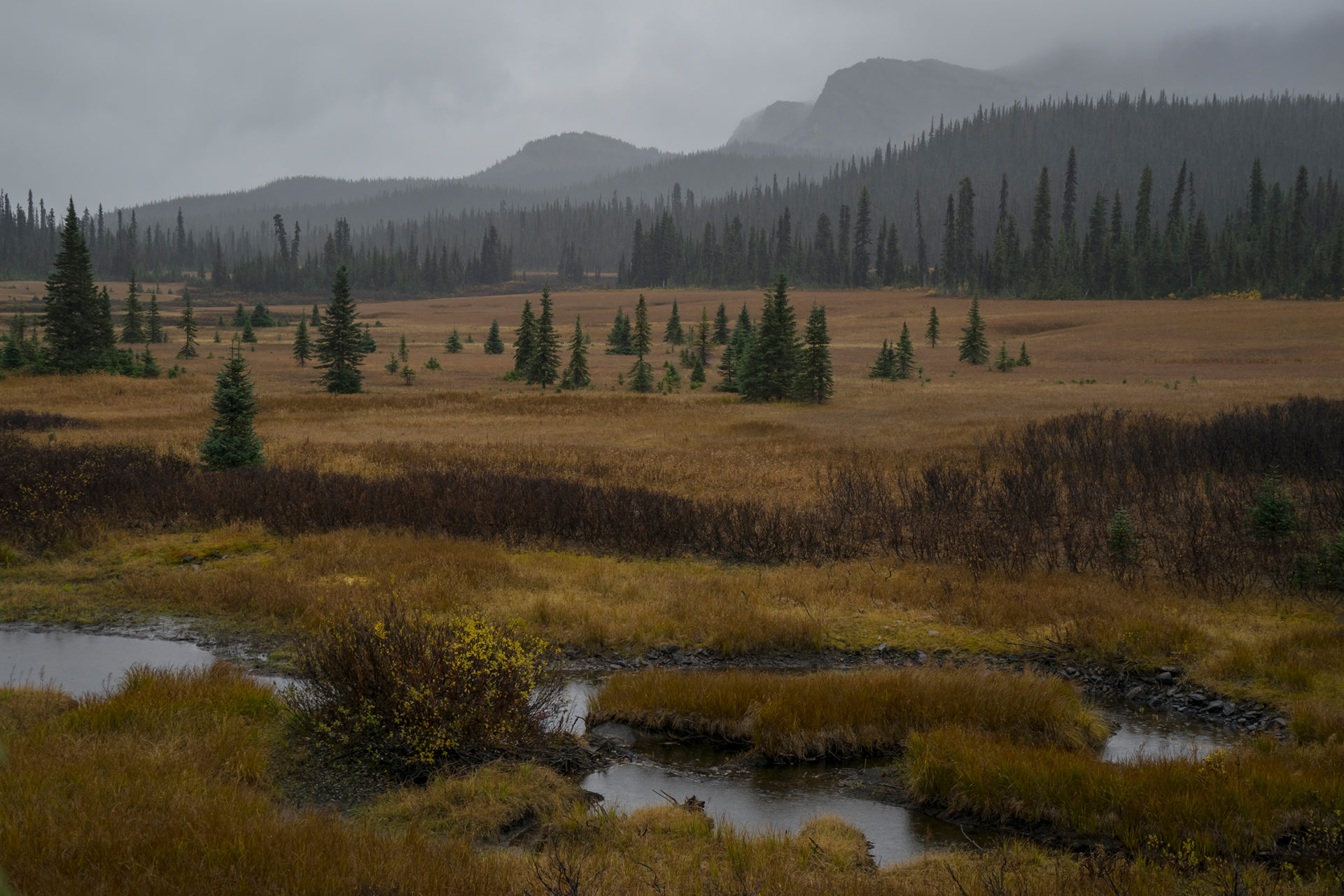 A Hunting Adventure in Canada - ZEISS Hunting