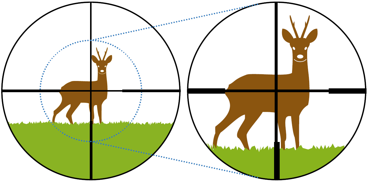 About Targeting Optics - ZEISS Hunting