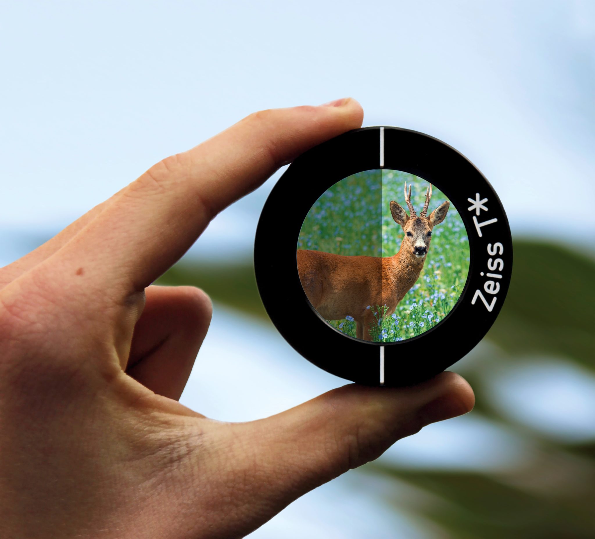 Innovative Technologies: ZEISS T* Coating - ZEISS Hunting