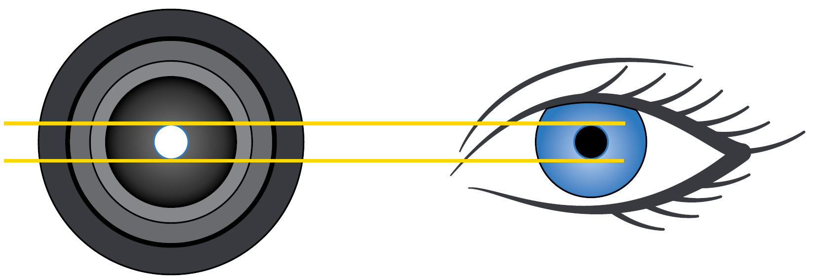 More Things To Consider When Investing In New Glass Hunting