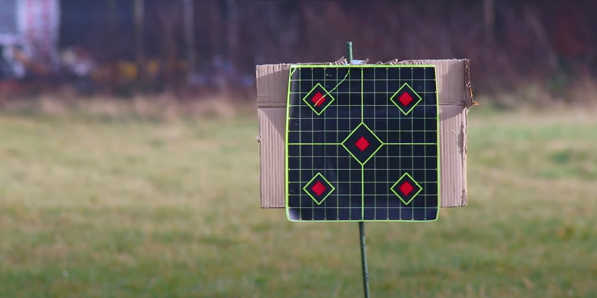 Modern Scopes for Airguns - ZEISS Precision Shooting