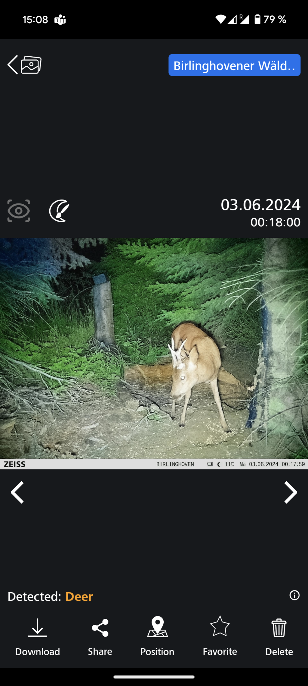 How Does the "Color the Night" Feature Revolutionize AI-Supported Trail ...