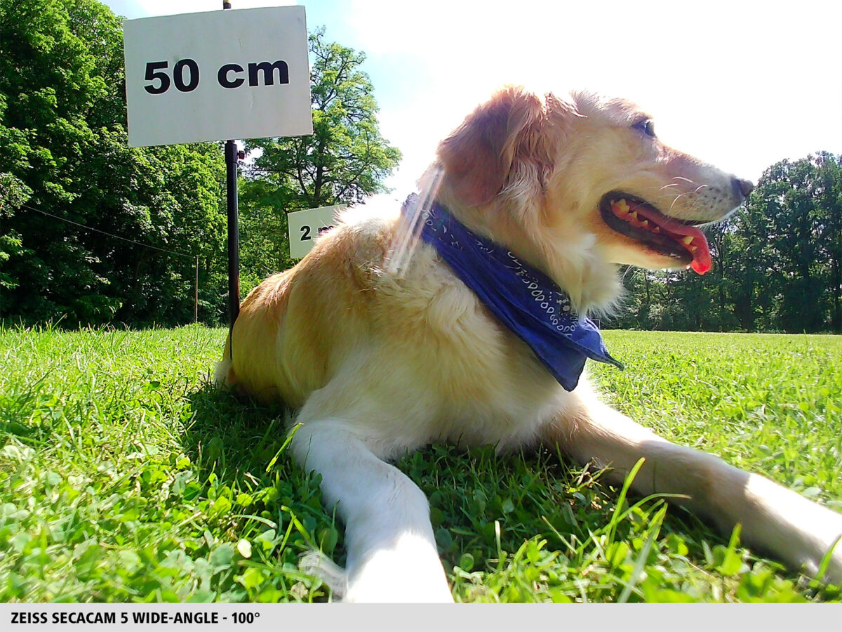 What is the Difference Between a 60° and 100° Field of View in Trail ...