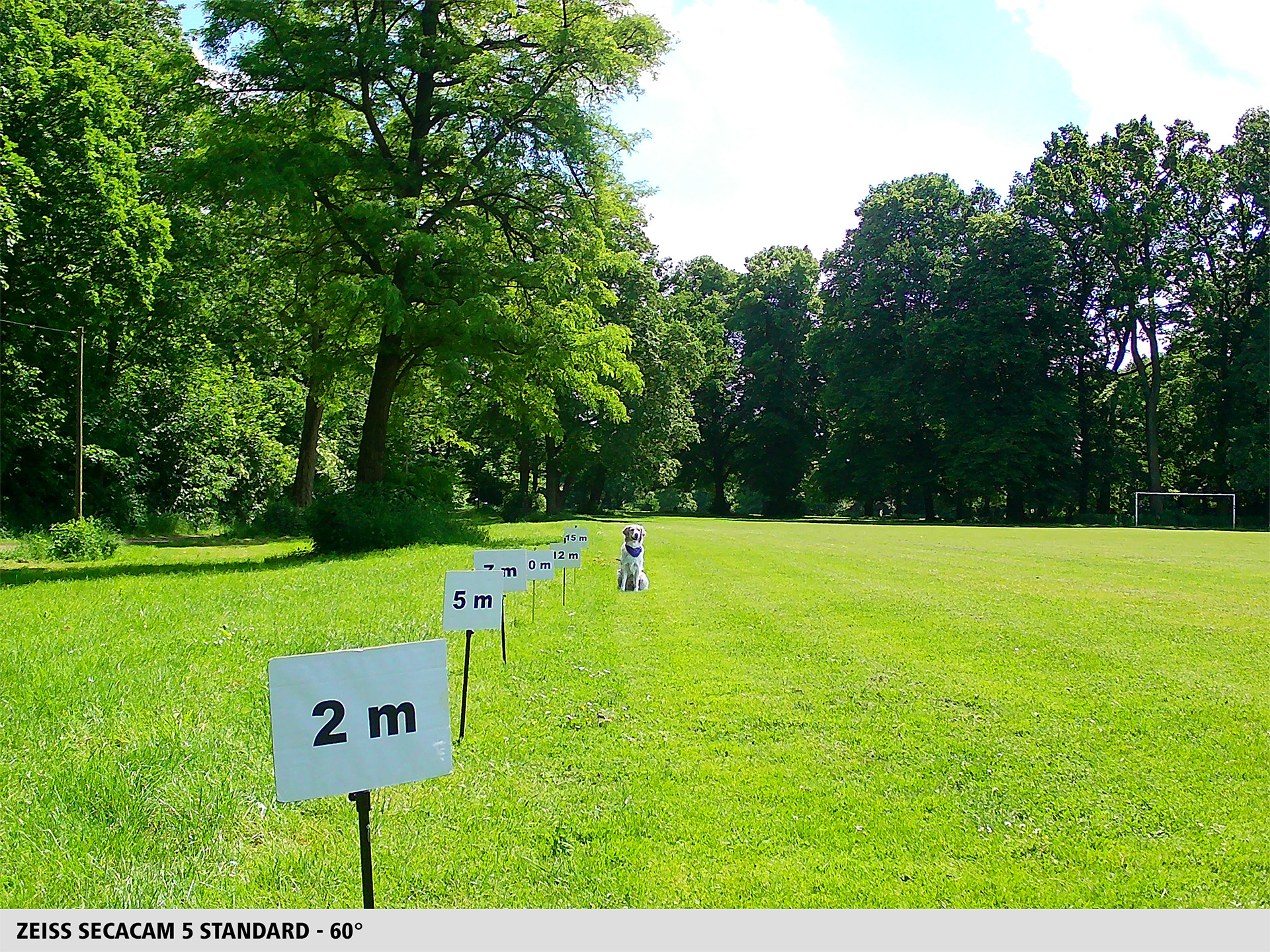 What is the Difference Between a 60° and 100° Field of View in Trail ...