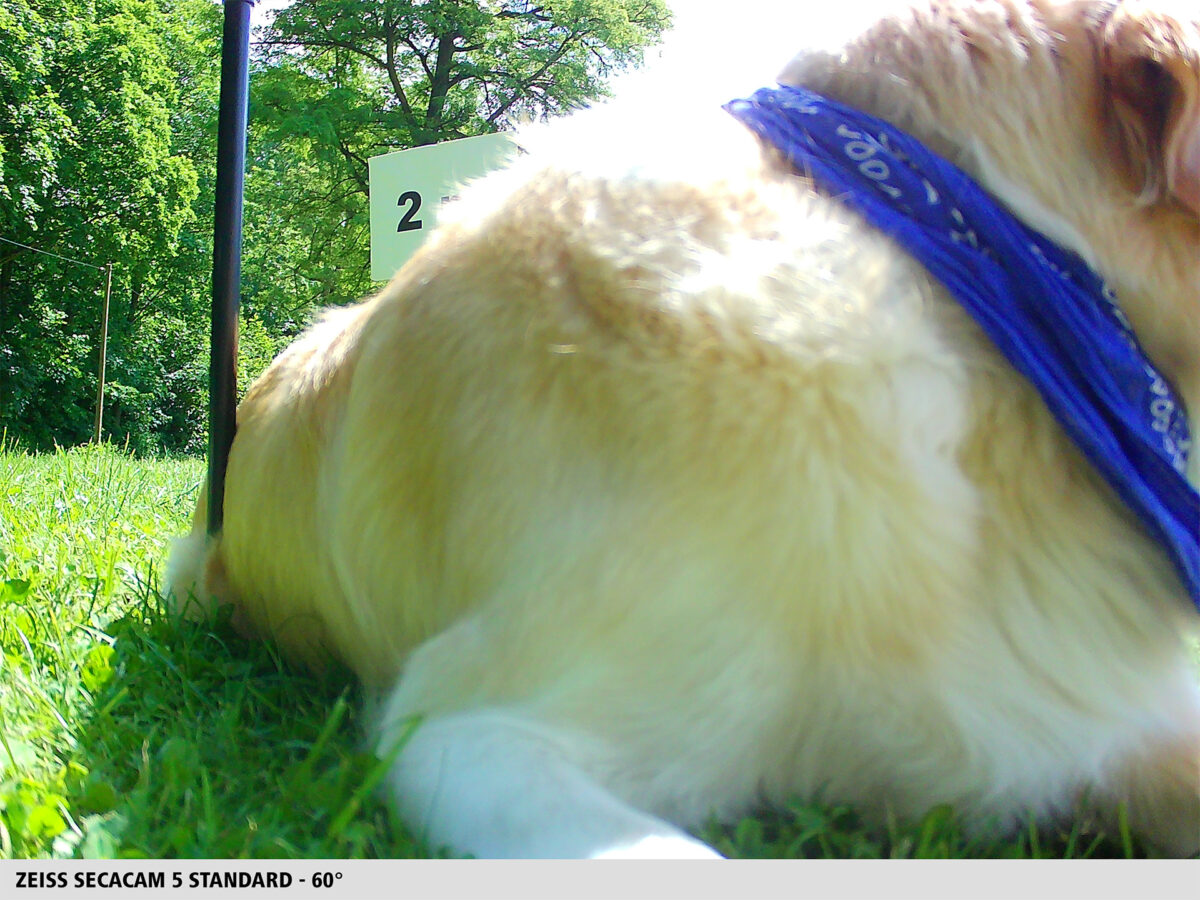 What is the Difference Between a 60° and 100° Field of View in Trail ...