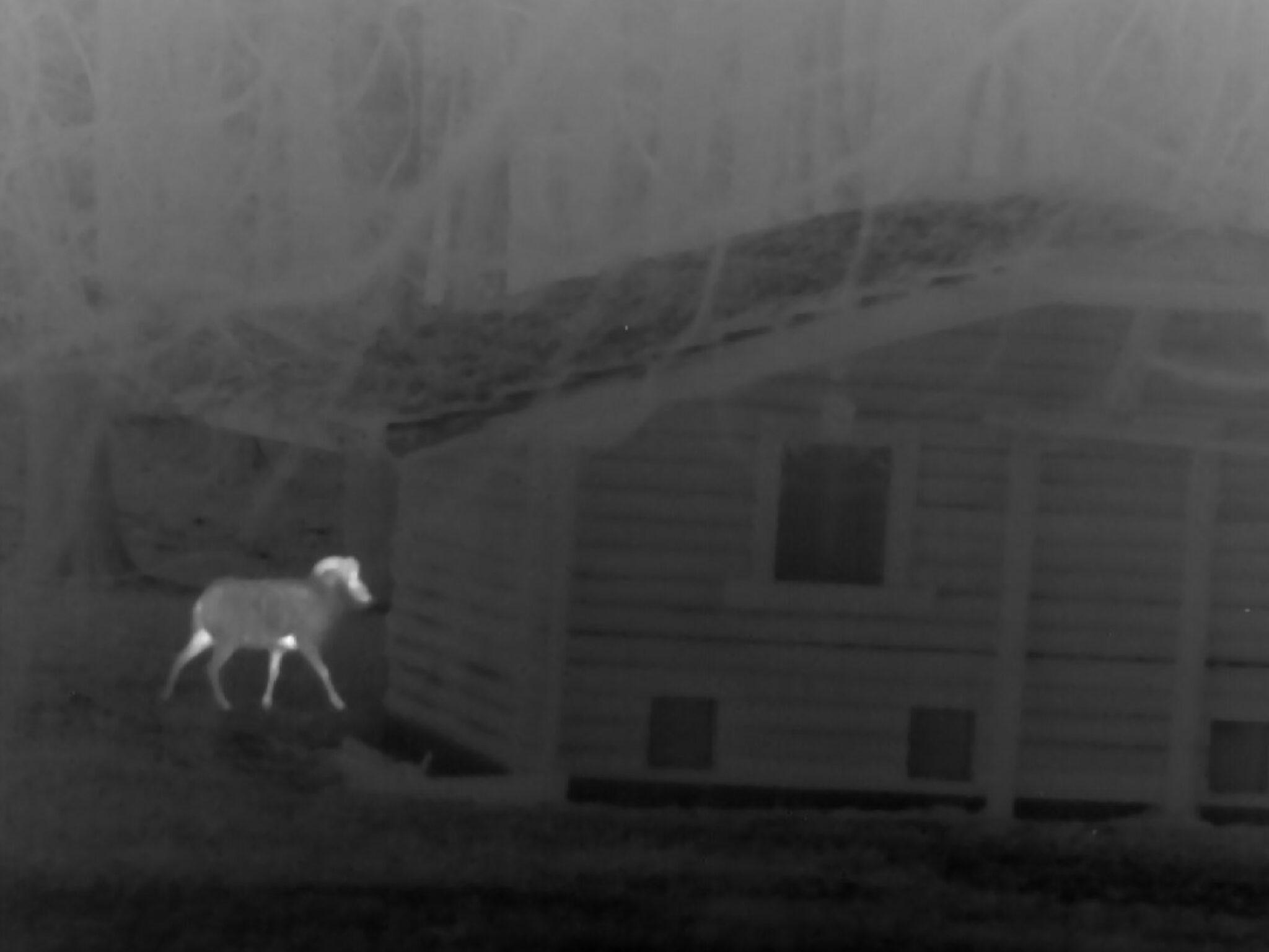 Five DTI 6 Setting Top Tips - ZEISS Hunting