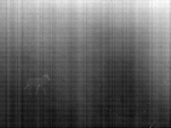 Five DTI 6 Setting Top Tips - ZEISS Hunting