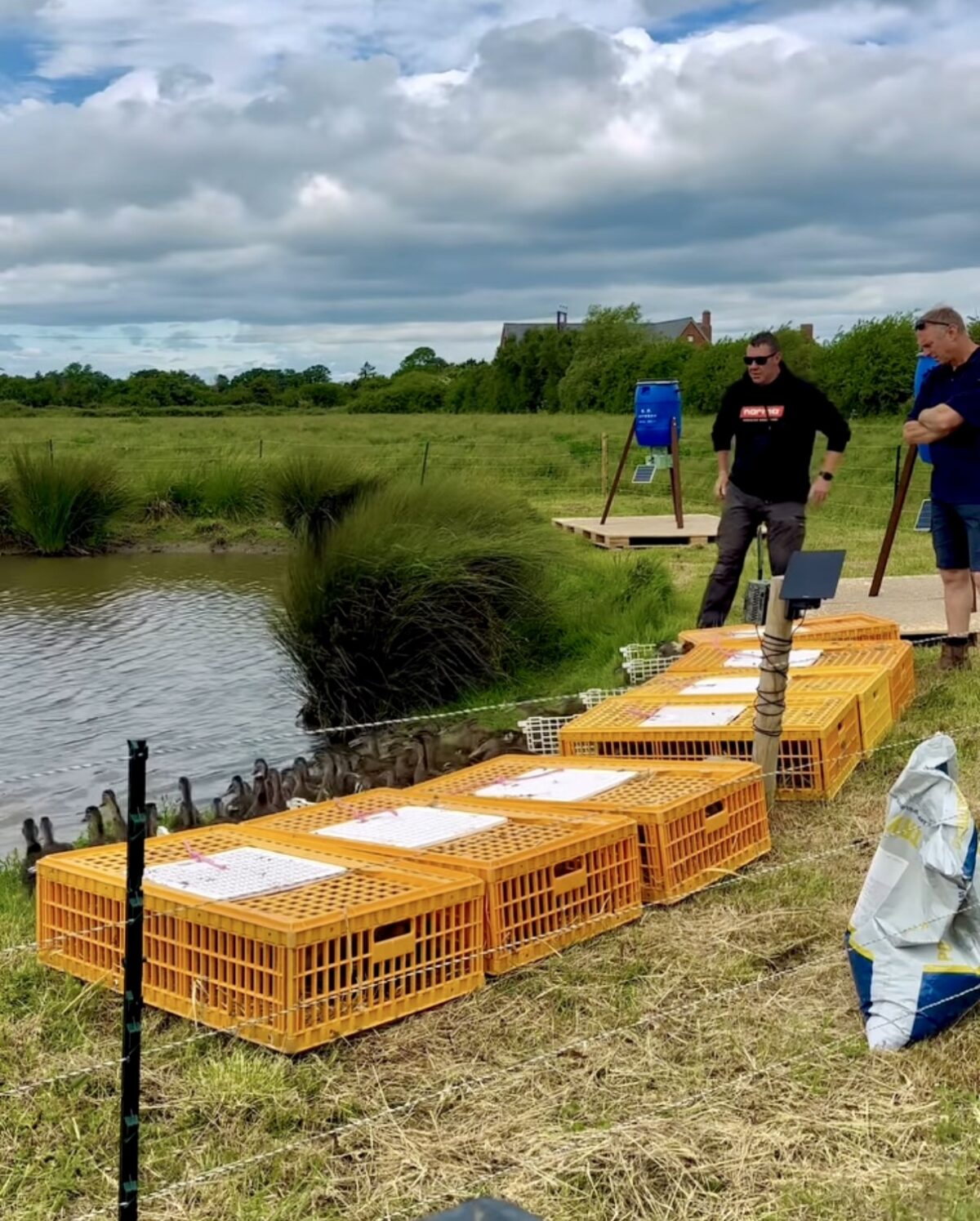 My First Season Running a Duck Shoot - Hunting